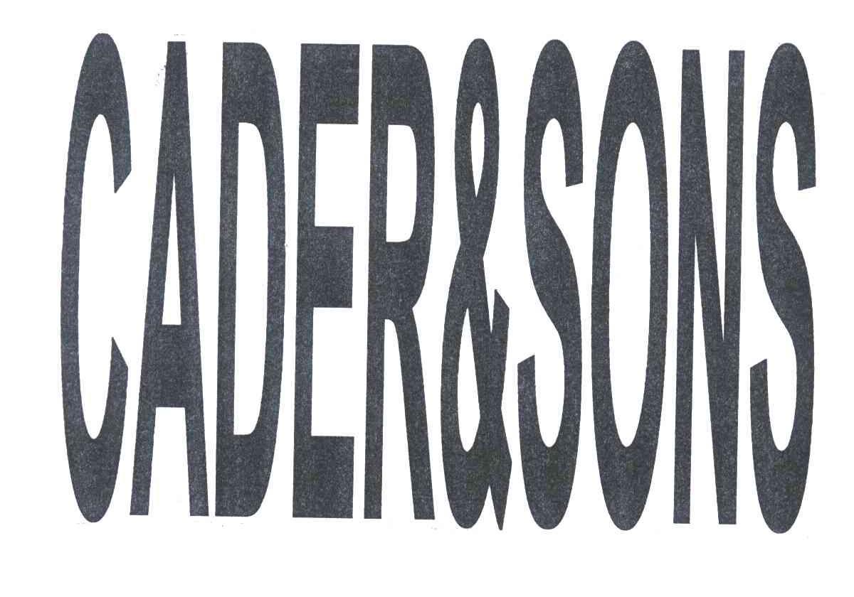 深圳市瑞晶实业有限公司知识产权 - 企查查