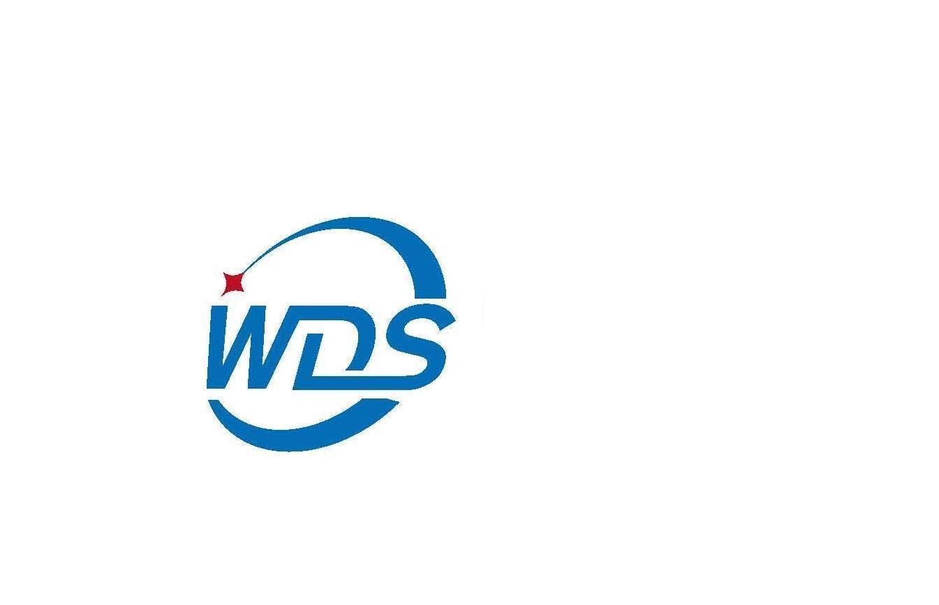 威迪斯电机技术（芜湖）有限公司知识产权 - 企查查