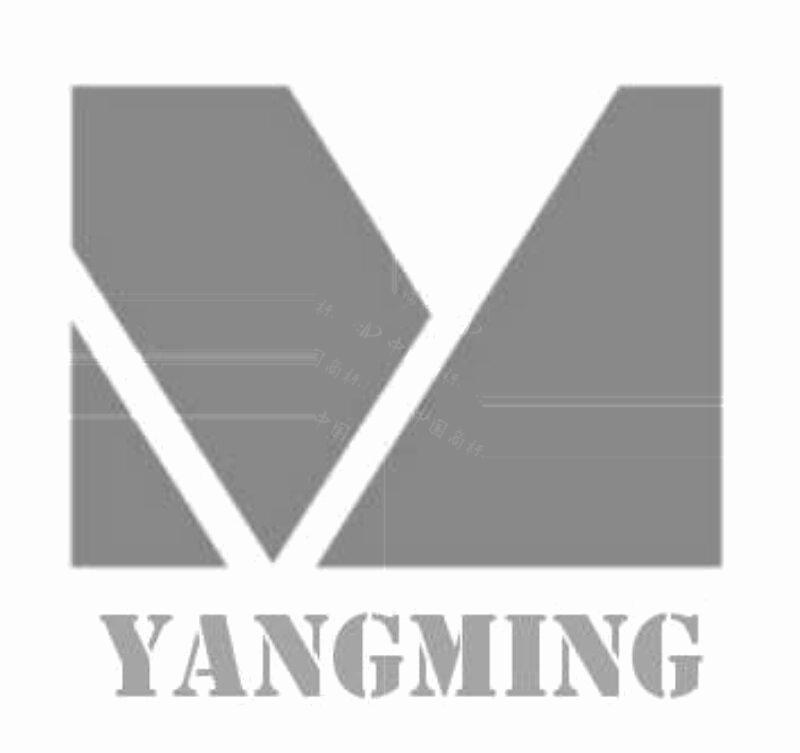 上海洋明塑料科技有限公司知识产权 - 企查查