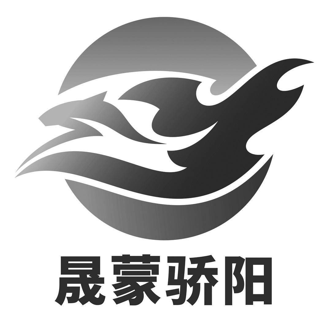 内蒙古晟世阳光新能源科技有限公司知识产权 - 企查查