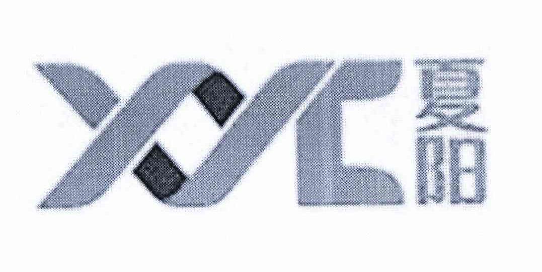 东莞市夏阳新材料有限公司知识产权 - 企查查