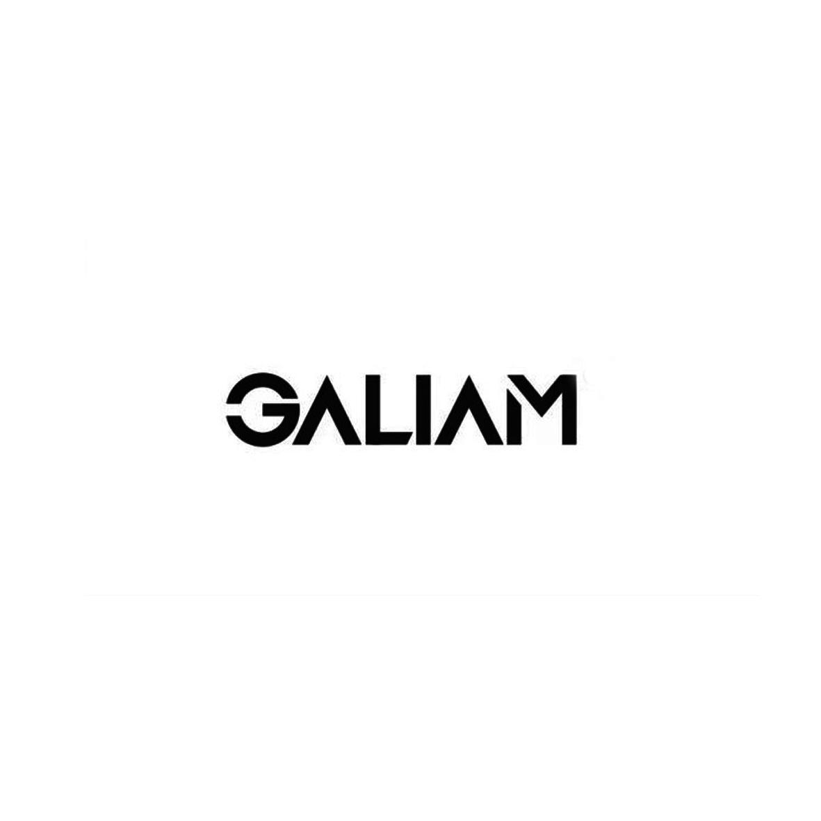 GALIAM商标_申请/注册号39181792 - 企查查