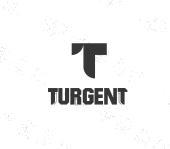 图灵新智算（广州）科技集团有限公司 - 企查查