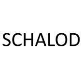 夏罗登工业科技（上海）股份有限公司 - 企查查