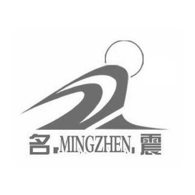 名震实业控股集团有限公司 - 企查查