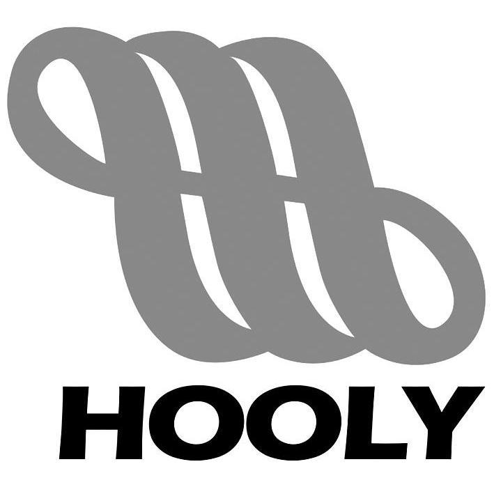 HOOLY商标_申请/注册号14752632 - 企查查
