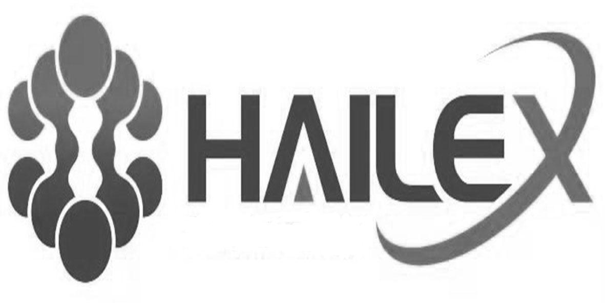 广东海瑞斯新材料股份有限公司知识产权 - 企查查